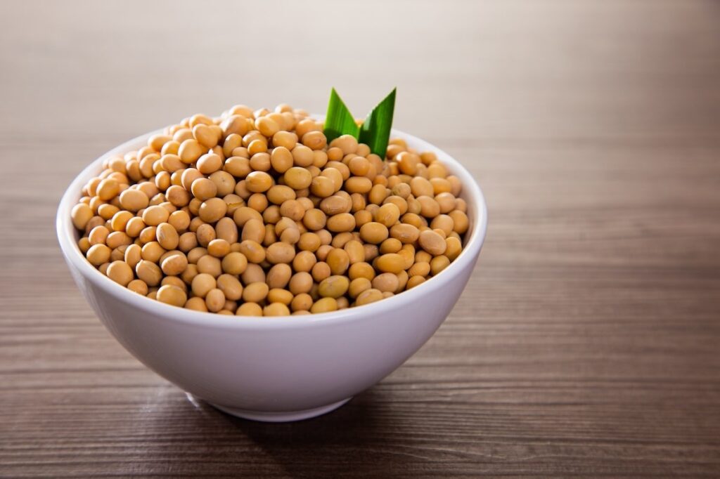 AGLYGEN - Anti-Aging Cell Therapy with Aglycones